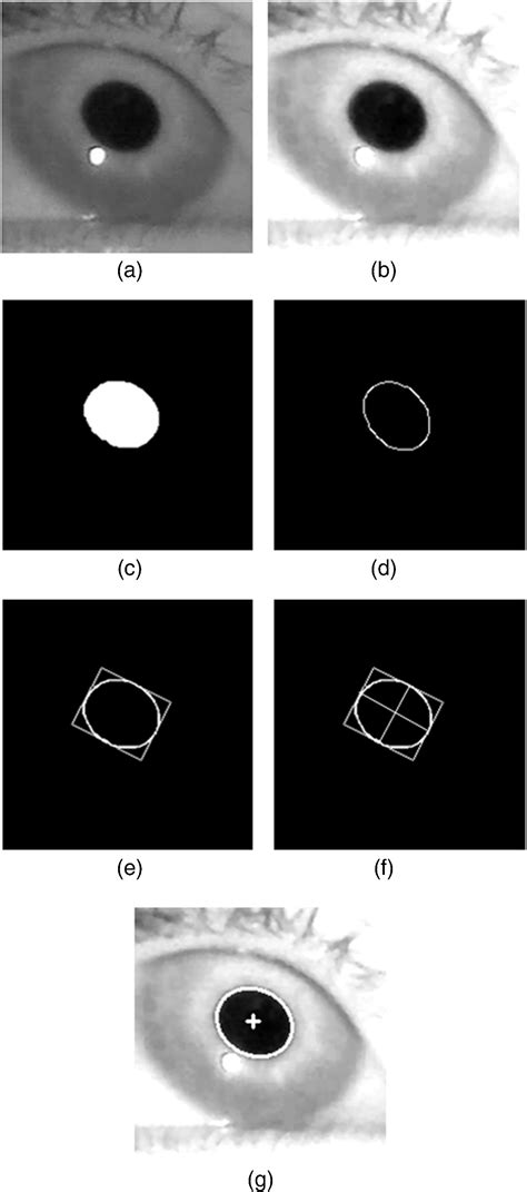 Discriminating Between Intentional And Unintentional Gaze Fixation Using Multimodal Based Fuzzy