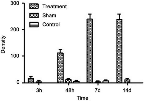 The Expression Of Retinal Nestin After Optic Nerve Transection In Rat P Download Scientific