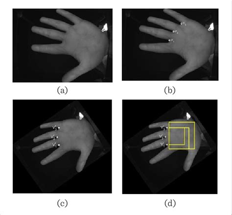 Roi Extraction Process A Input Palm Vein Image B Locating 3 Valley Download Scientific