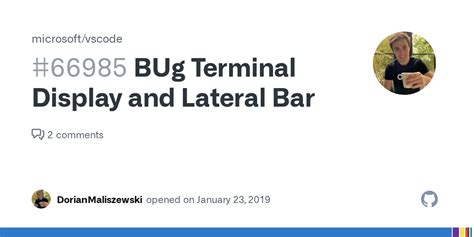 Bug Terminal Display And Lateral Bar · Issue 66985 · Microsoftvscode · Github