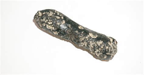 Tektite Meaning: Healing Properties, Benefits and Uses