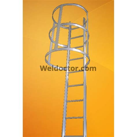 Cat Ladder With Cage