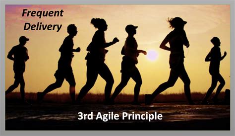 Agile Adoption Roadmap What Does The 3rd Agile Principle Frequent