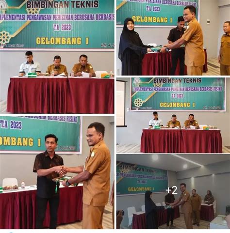 Dpmppt Aceh Timur Gelar Bimtek Pengawasan Dan Perizinan Berbasis Risiko Star7tv Com