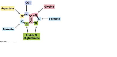 thẻ ghi nhớ biochem mastery quizzes quizlet