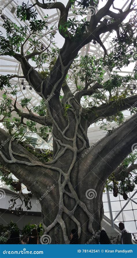 Artificial Tree Structure Editorial Photo Image Of Large 78142541