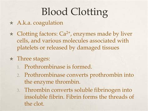 PPT Formed Elements In Blood PowerPoint Presentation Free Download ID 7106171