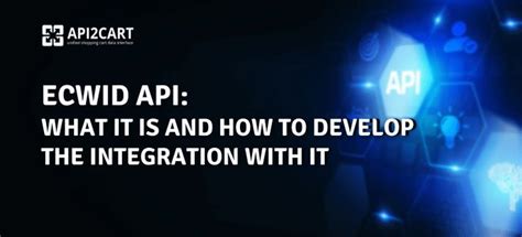 ecwid api what it is and how to develop the integration with it