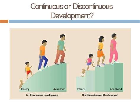 Areas Of Development 1 2 3 Physical Development