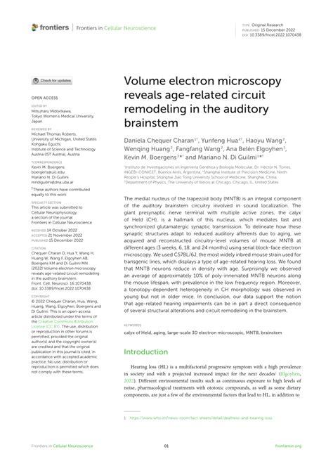 Pdf Volume Electron Microscopy Reveals Age Related Circuit Remodeling In The Auditory Brainstem