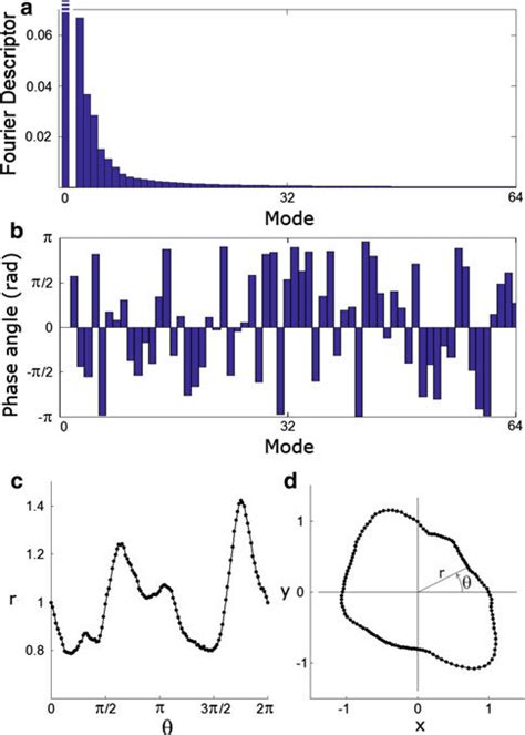 a illustrative discrete fourier spectrum b random sampling of phase