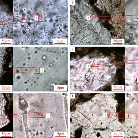 Homogenization Temperature Distribution Of Fluid Inclusions From The