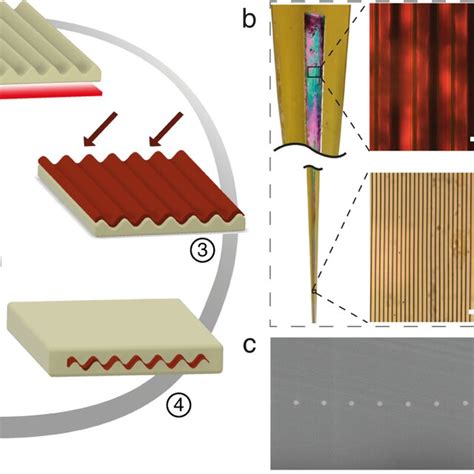 High Throughput Nw Array Fabrication Process And Observation A 1 A Download Scientific Diagram