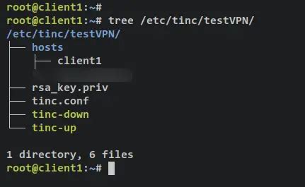 How To Set Up Peer To Peer VPN With Tinc On Ubuntu