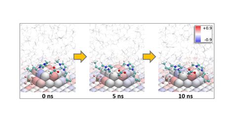 Polarization Effects In Dynamic Interfaces Of Platinum Electrodes And Ionic Liquid Phases A