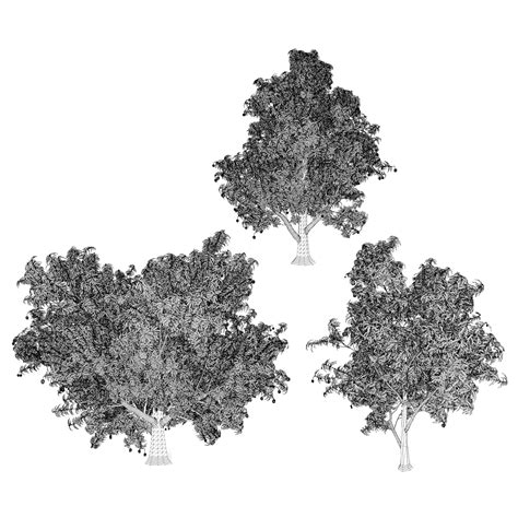 Mango Tree 3d Model Flippednormals