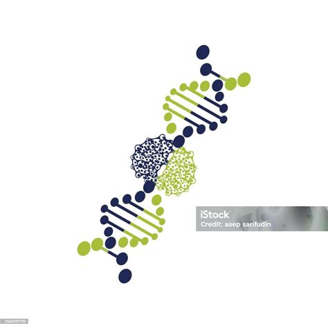Dna 나선 생명 공학 유전자 세포 염색체 로고 및 벡터 아이콘 0명에 대한 스톡 벡터 아트 및 기타 이미지 0명 3차원 형태 Dna Istock