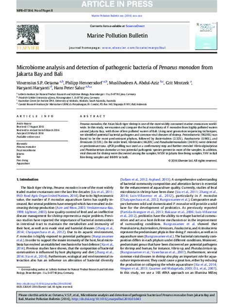 Pdf Microbiome Analysis And Detection Of Pathogenic Bacteria Of