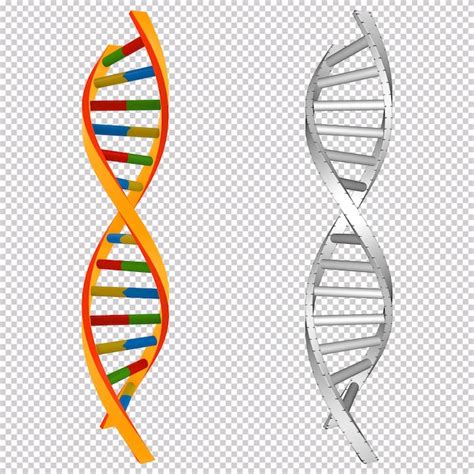 Premium Psd 3d Rendering And Unrendering Colorful Dna Gene