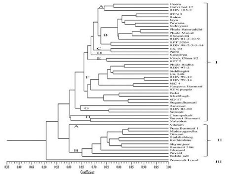 Upgma Based Dendrogram Of Rice Genotypes Using Issr Markers Download