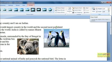 MS WORD Measure The Height And Width Of Picture In A Document Mp YouTube