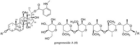 Structure Of The Steroid Glycoside Gongroneside A 4 Isolated From The