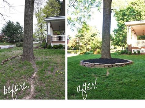22 Best Tree Base Ideas Outdoor Gardens Garden Landscaping Garden