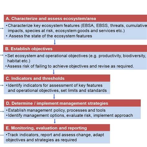 Proposed Process For Implementing An Ecosystem Approach To Management