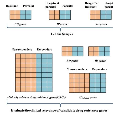the log2 fc values and ad values of 70 genes of 5 fu resistance and 65