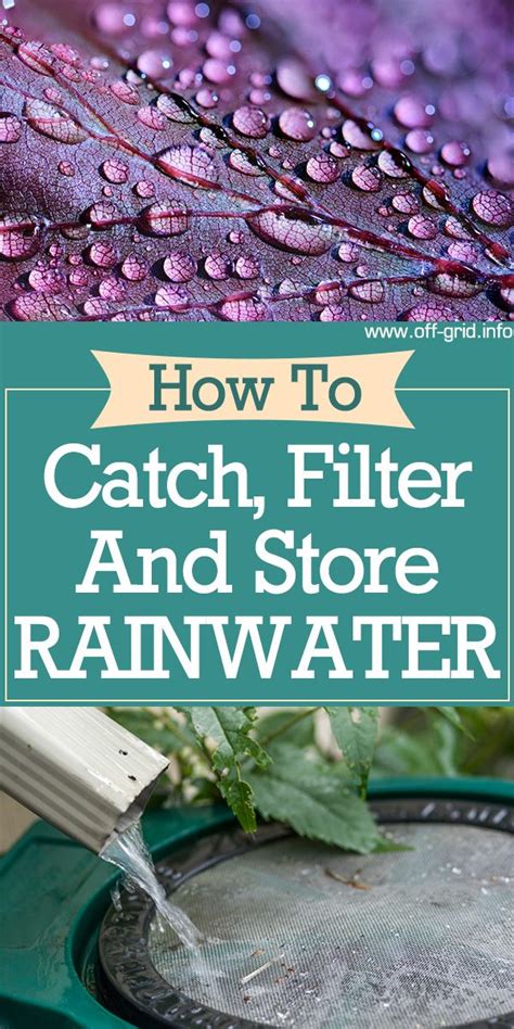 How To Catch Filter And Store Rainwater Off Grid Rain Water