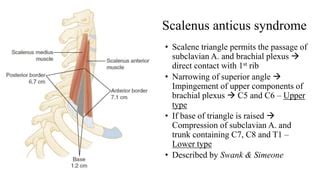 Thoracic Outlet Syndrome 1pptx