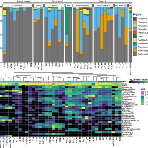 Average Bacterial Community Compositions Stacked Bar Plot Showing