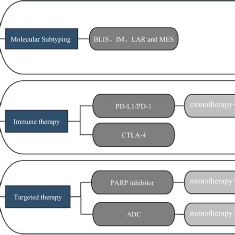 Modern Treatment Framework For Triple Negative Breast Cancer Patients