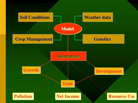 ppt crop simulation modeling powerpoint presentation free download