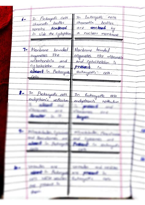 SOLUTION Difference Between Prokaryotic And Eukaryotic Cell Studypool