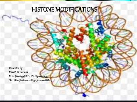 Histone Modifications Ppt