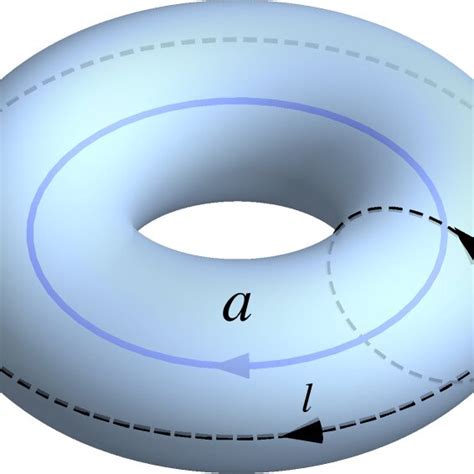 A Basis For The Degenerate Ground States Of A Topological Phase On A