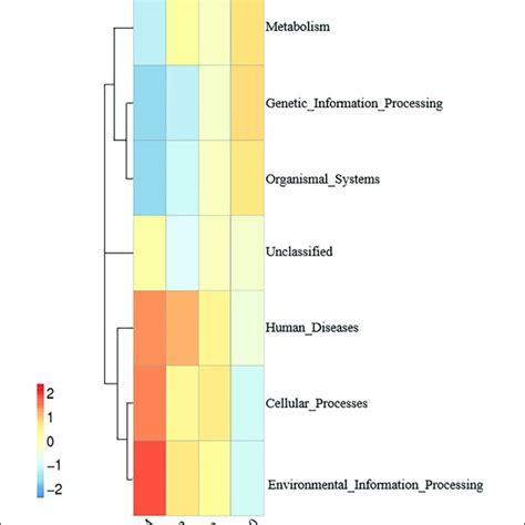 Heat Map Of Cog Function Classification Of Four Diet Treatments Download Scientific Diagram