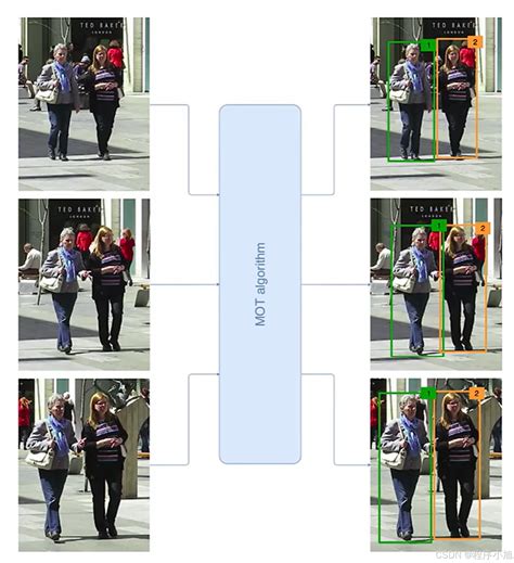 目标跟踪那些事 Ew帮帮网