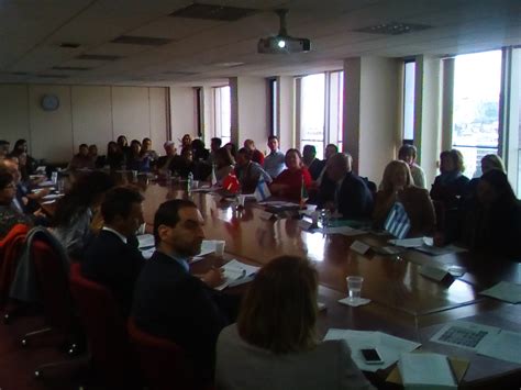 Workshop On The National Implementation Action Plan For The Sustainable