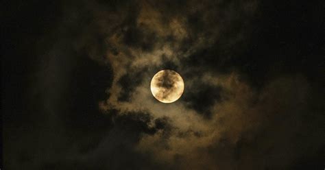 В каких городах Украины можно будет увидеть солнечное затмение 29 марта — Наука и It