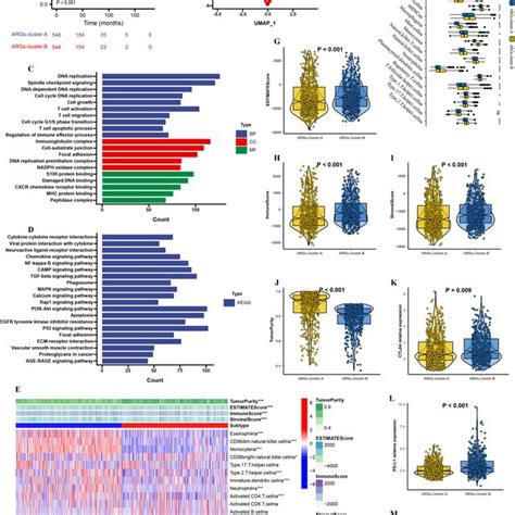 The Molecular Subtypes Categorization Of Blca Base On 4 Args A