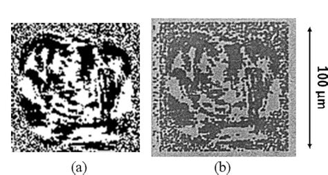 figure 3 from development of magneto optical diffractive deep neural