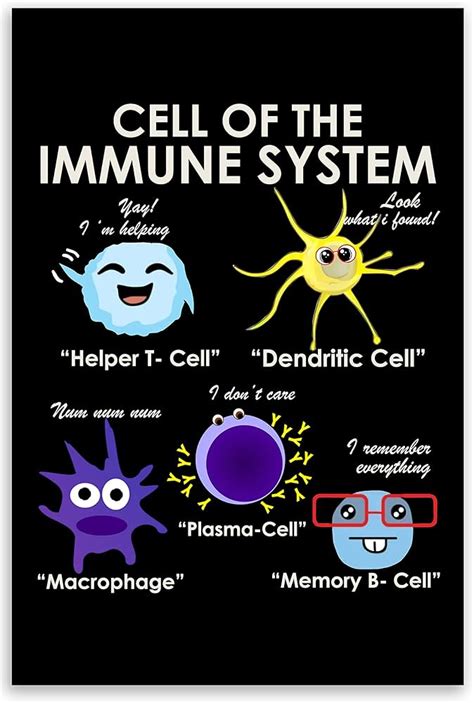 Immune System Poster Ideas More Than 70 Percent Our Immune Stock