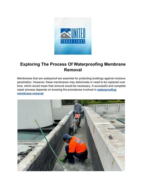 Ppt Exploring The Process Of Waterproofing Membrane Removal Powerpoint Presentation Id12734175