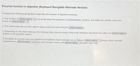 Solved Enzymes Function In Digestion Keyboard Navigable Chegg