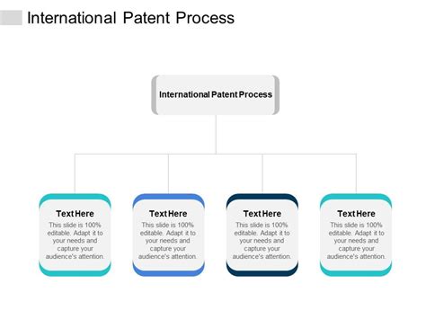 International Patent Process Ppt PowerPoint Presentation Styles Example Cpb