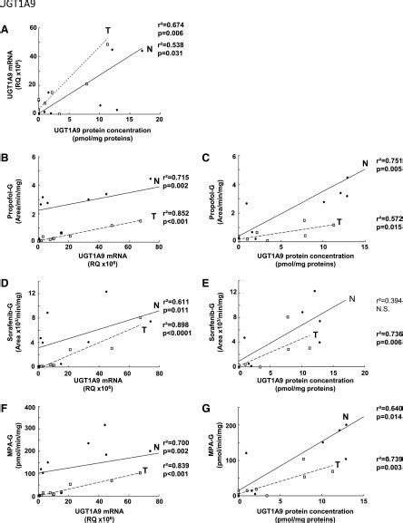 Quantitative Profiling Of Human Renal Udp Glucuronosyltransferases And Glucuronidation Activity