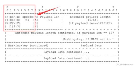 一文带你秒懂 字节序 byte order ，比特序 bit order ，位域 bit field 阿里云开发者社区