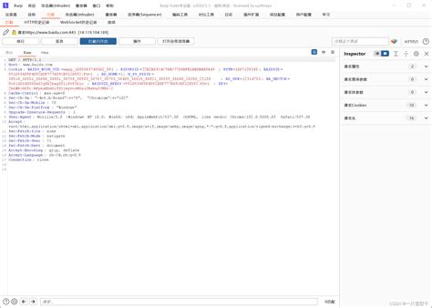 burp suite 功能详解（渗透测试工具）
